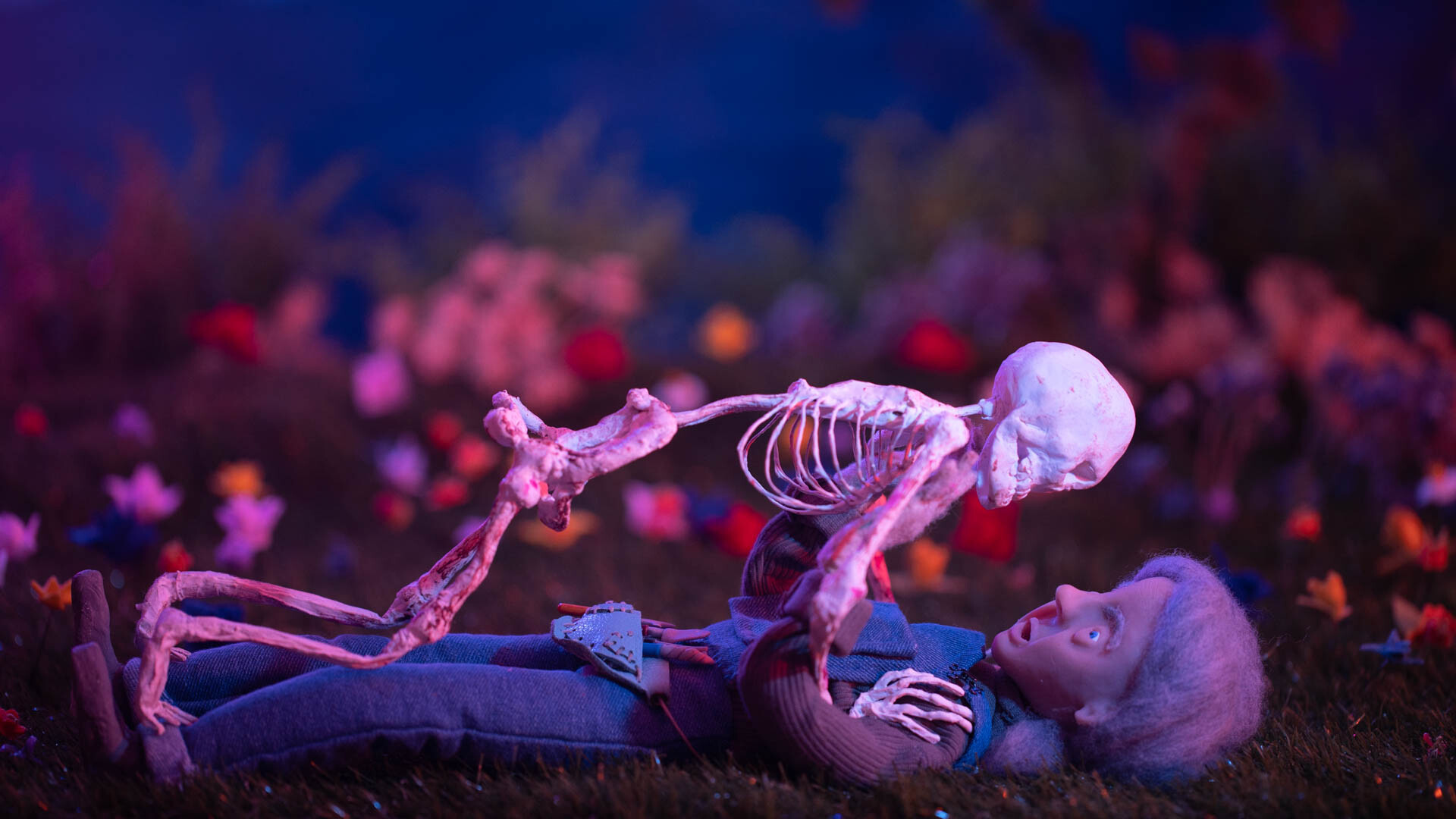 Judy's Garden - dir. Evie Metz - FEST REGARDS