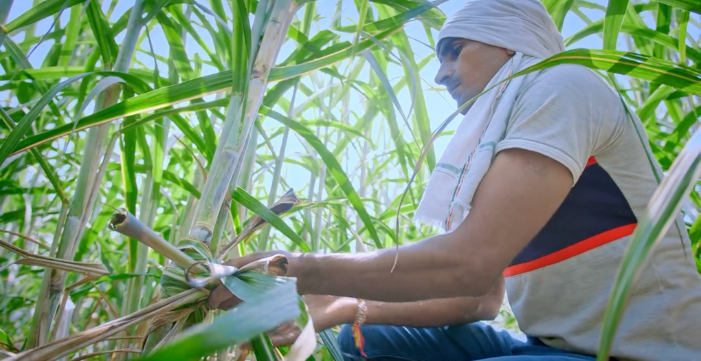 Project 101: A Hundred Farmers & One - dir. Yash Dhruv Sawhney, Rajeev ...